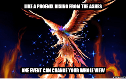The Phoenix – The Journey is Real